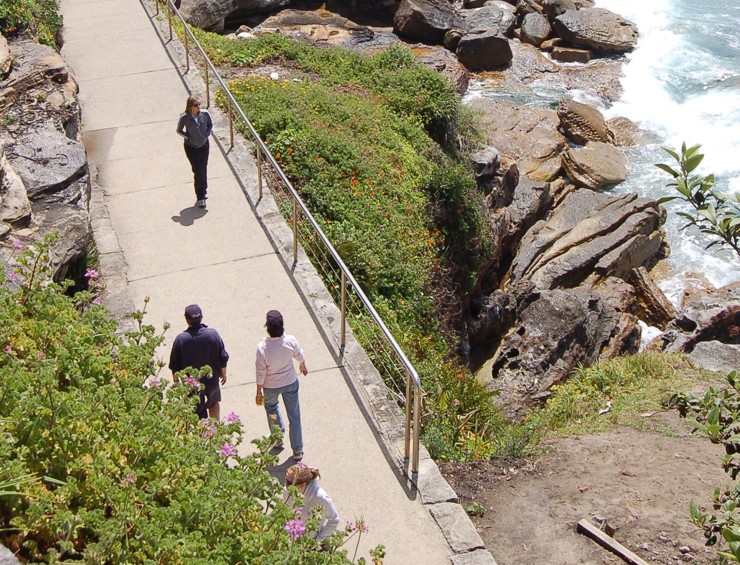 Waverley Walking Strategy | Have Your Say Waverley