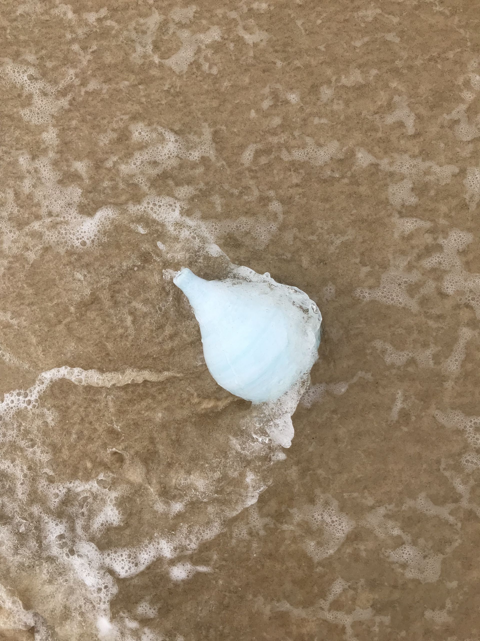 MAKERS Craft + Design at Bondi Pavilion Pottery Studio 2019 - Feedback ...